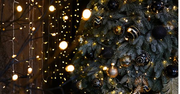 Take away KERSTMENU 24/12 – Bibois